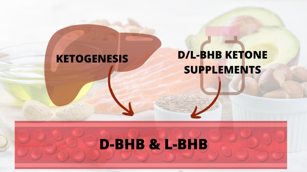 Why do we need both D-BHB and L-BHB? - KetoNutrition