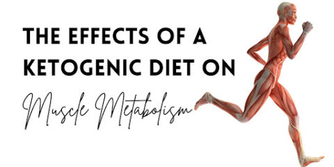 Ketogenic Diet and Muscle Metabolism - KetoNutrition